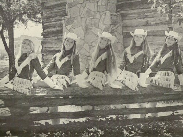 Looking for Lisa Stone