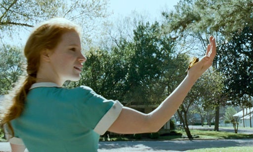 The films of Terrence Malick