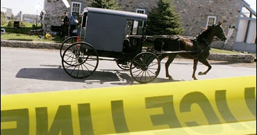 Amish teen driving horse 'n buggy charged with DUI - CBS News