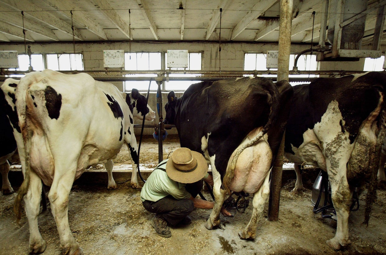 Inside Amish life