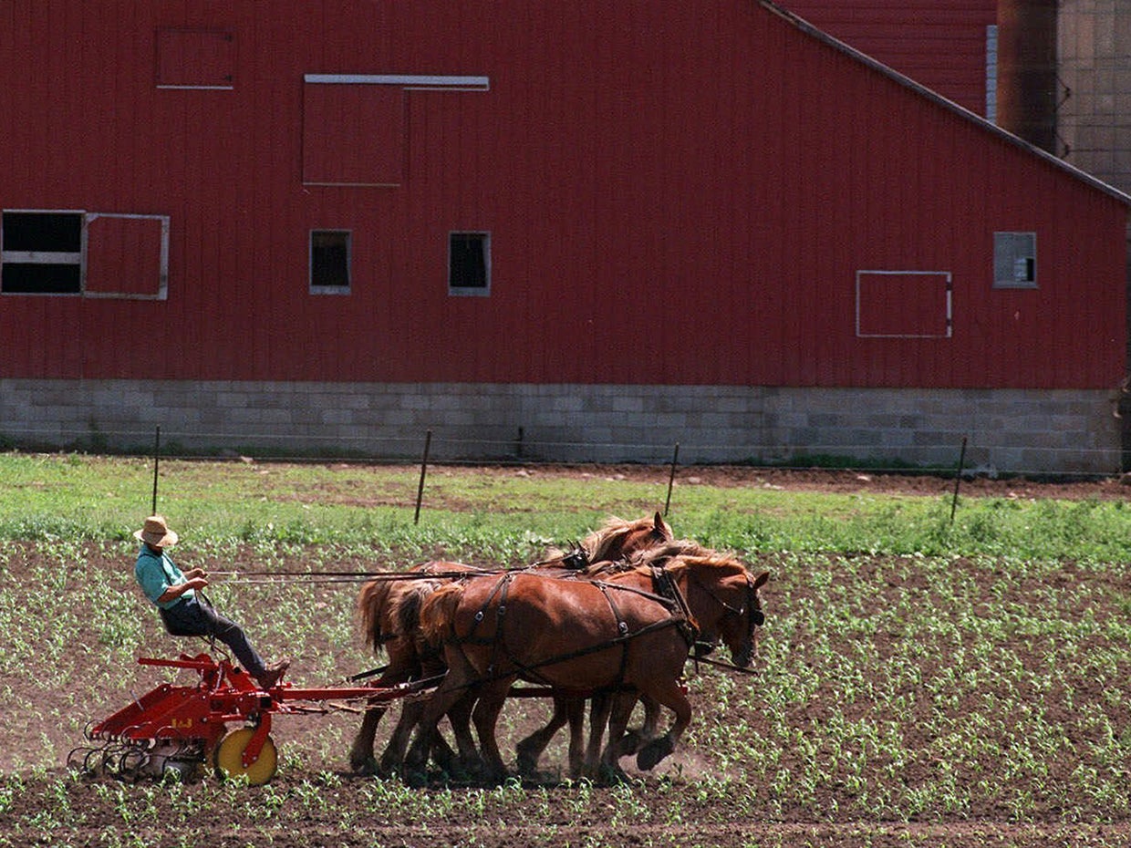 Inside Amish life