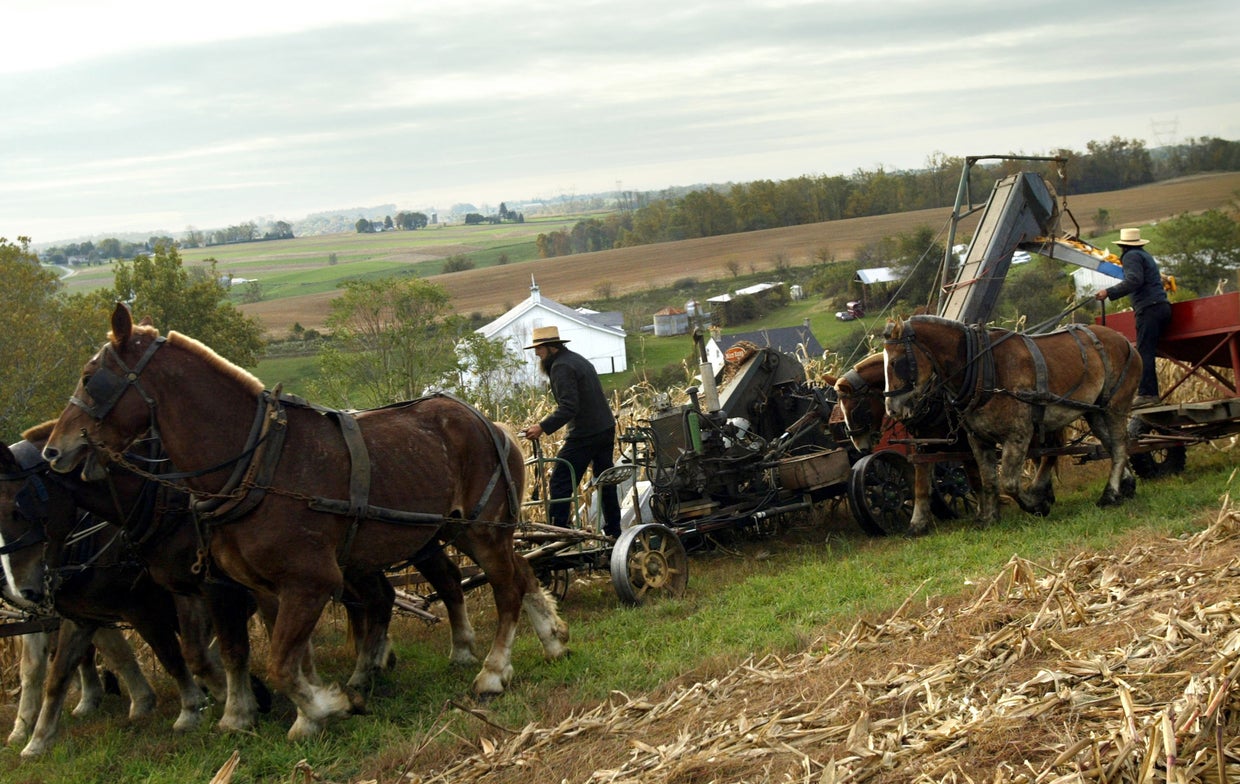 Inside Amish life