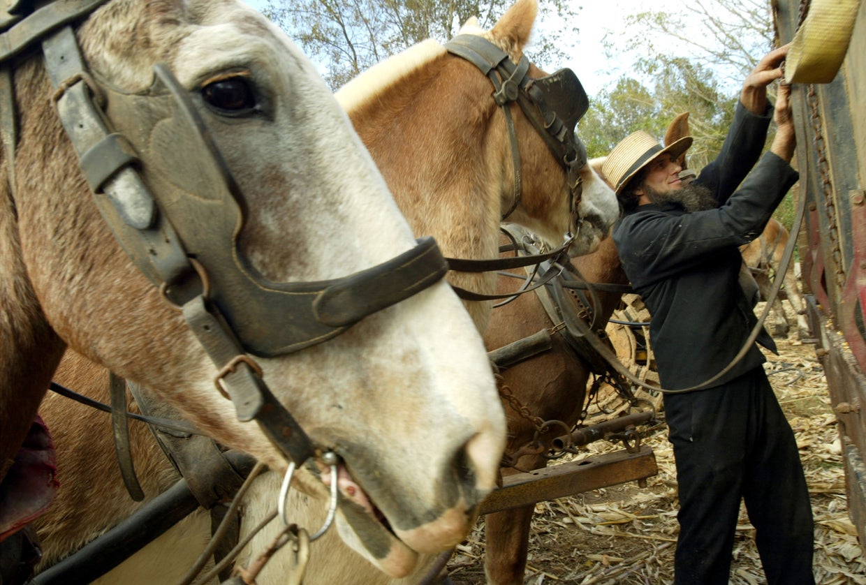 Inside Amish life