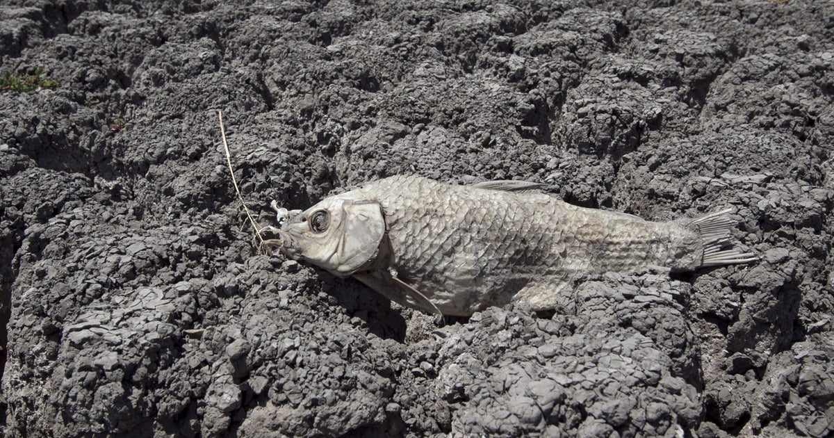 Texas, plains may languish in drought until 2012 - CBS News