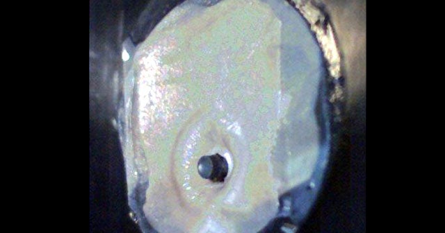 "Bulletproof skin" created with help of artist, goats, spiders - CBS News