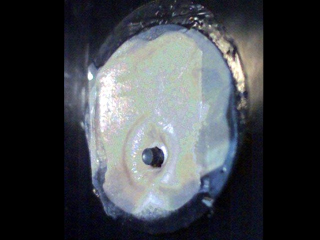 "Bulletproof skin" created with help of artist, goats, spiders - CBS News