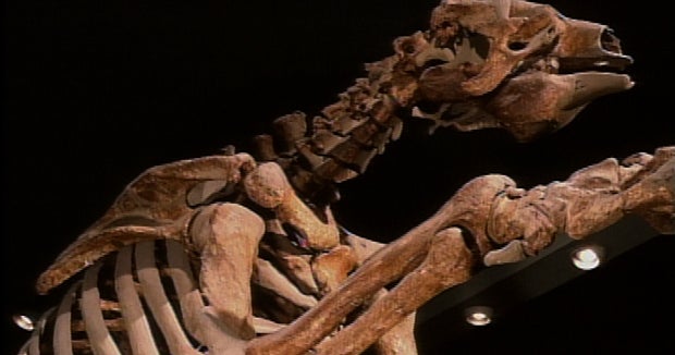 Resurrecting the extinct - CBS News