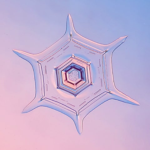 Nikon's VERY small world