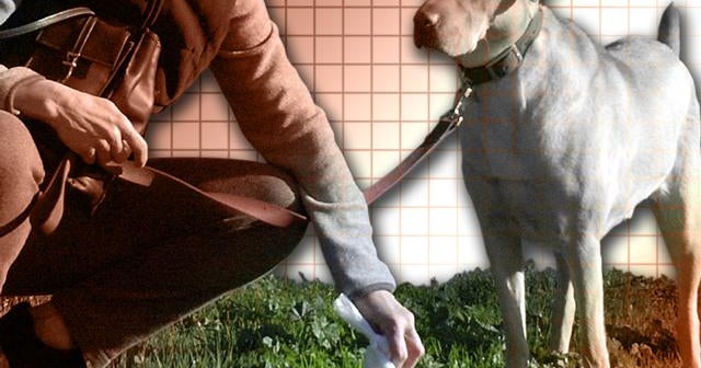 Poop scooper admits to using fake Secret Service badge for dates - CBS News