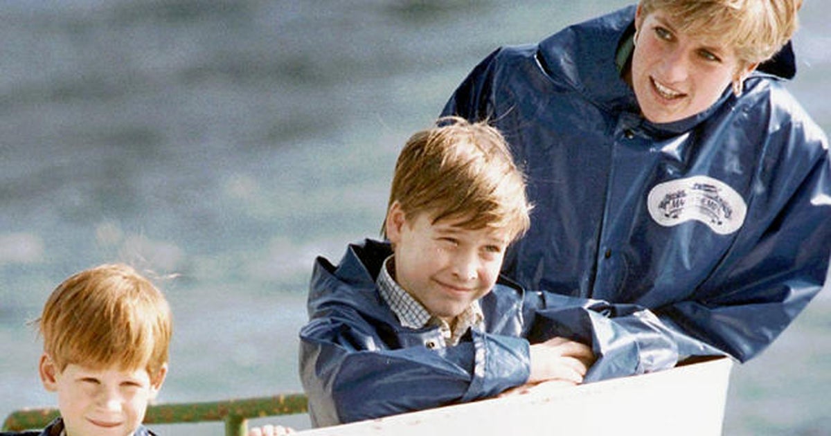 "See you later": Princes William, Harry remember devastating last call ...