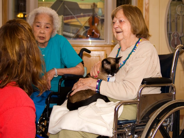 Therapy animals: Doggie docs, horse helpers, and more