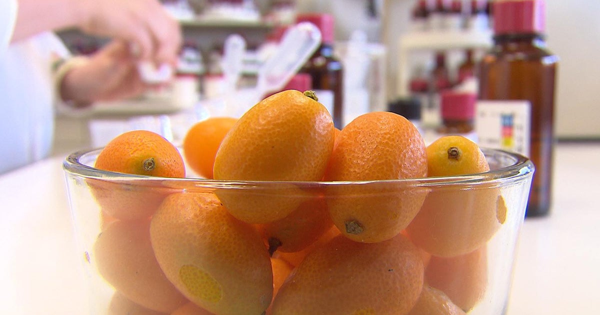 Inside the flavor factory - CBS News