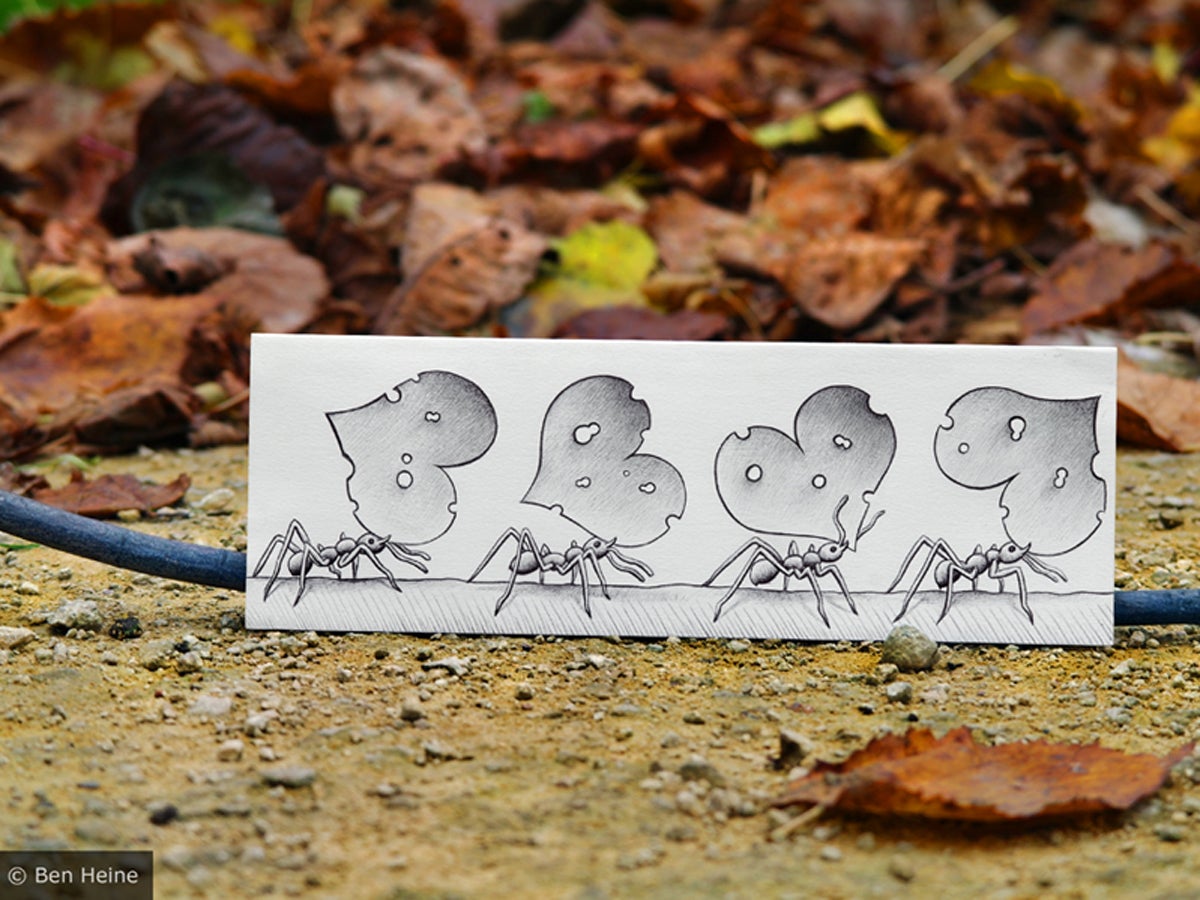 "Pencil Vs Camera" blends drawing and photography