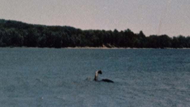 "Two mouth" fish in Lake Champlain: New York woman catches fish with ...