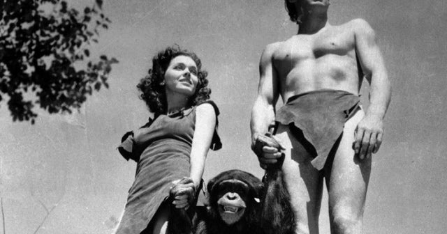 Cheetah, Tarzan's chimp sidekick, dies at 80 - CBS News