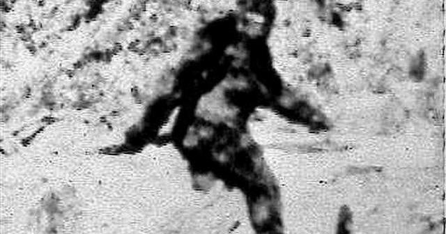 Oxford requests Bigfoot samples for DNA testing - CBS News