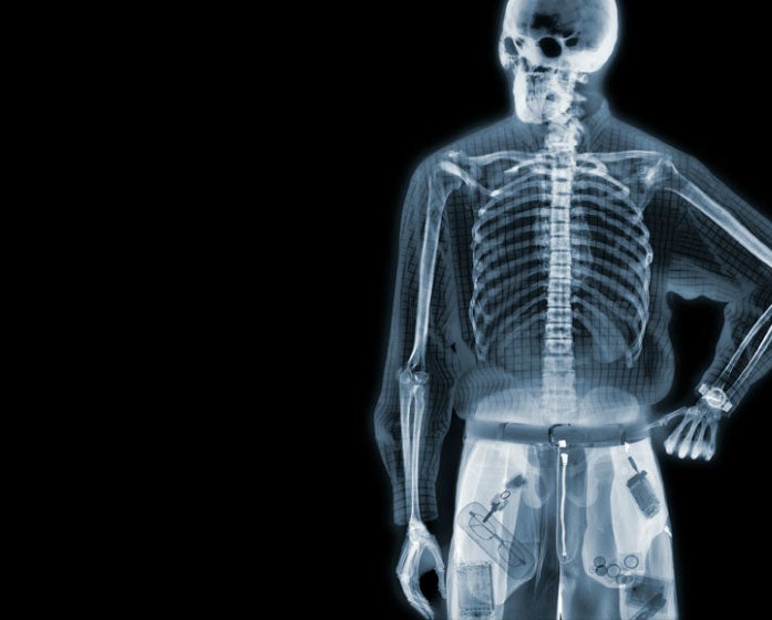 Amazing X-ray art reveals hidden beauty