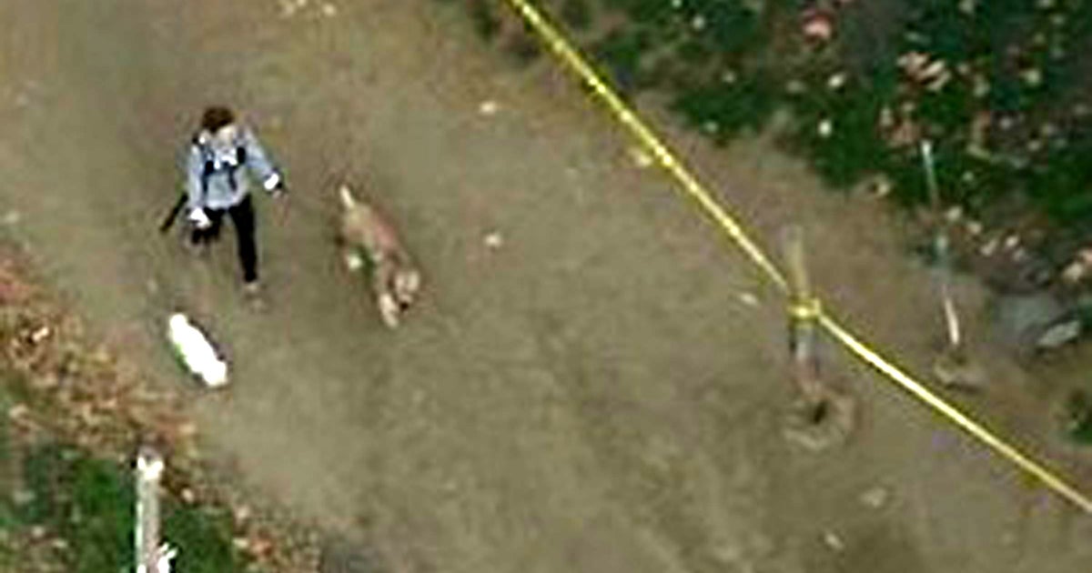 human head found chicago