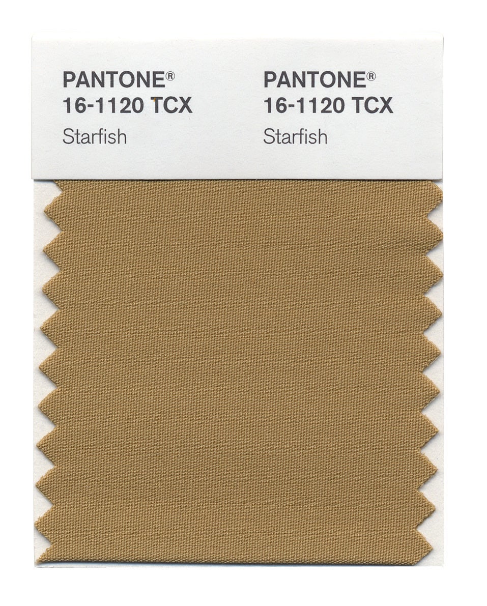 Best paint color for every room in your house 2012