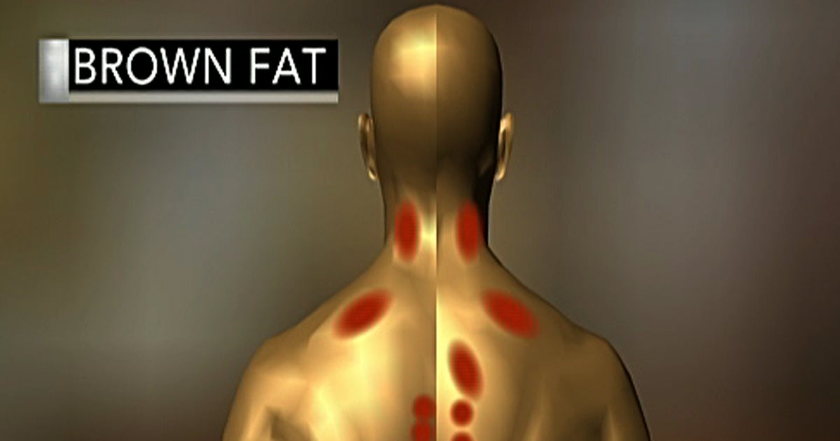 How brown fat benefits your health - CBS News