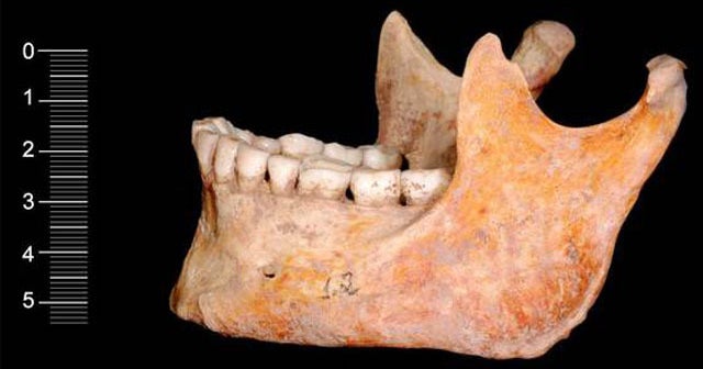 Cavemen bones yield oldest modern human DNA - CBS News