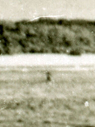 Quest to solve the Amelia Earhart mystery