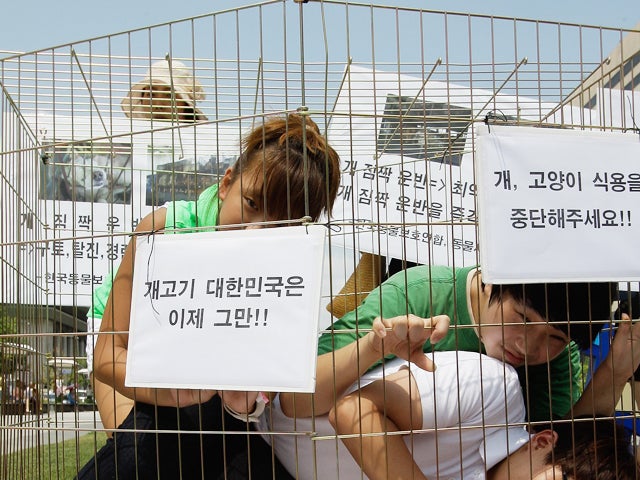 Anti-dog meat protest held in South Korea