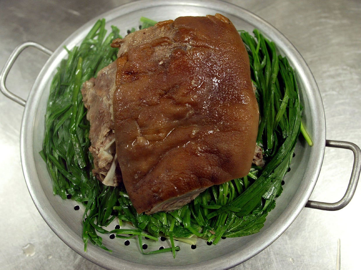 Anti-dog meat protest held in South Korea