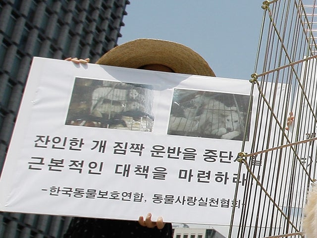 Anti-dog meat protest held in South Korea