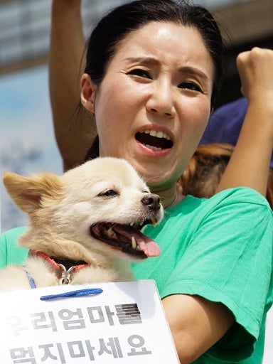 Anti-dog meat protest held in South Korea