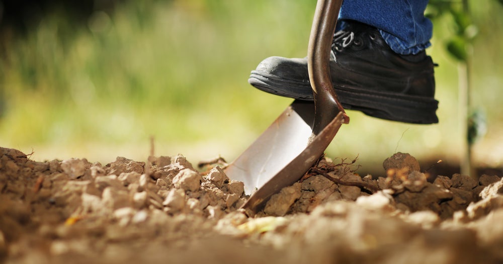 Backyard digging poses unseen hazards - CBS News