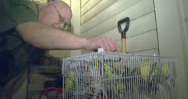 Birdman of Illinois: Home with over 350 live birds, and 100 dead ones ...