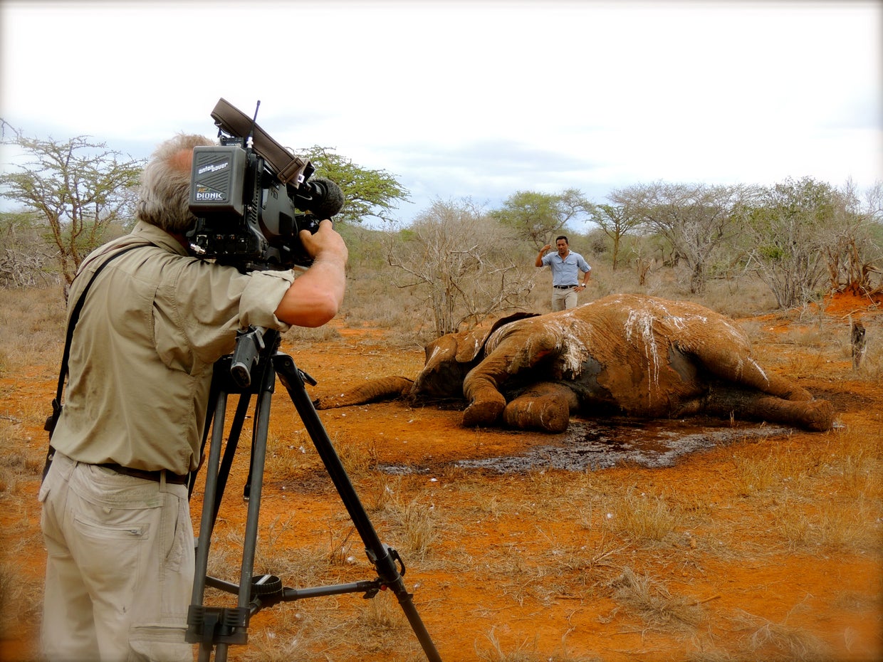 Blood & ivory: Elephant poaching in Kenya