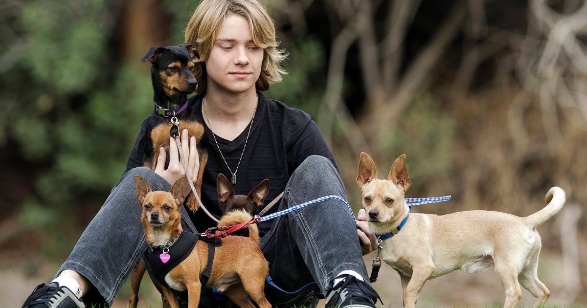 Kids against animal cruelty