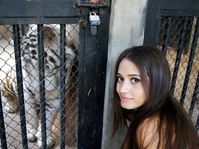 Mexican beauty queen killed in shootout