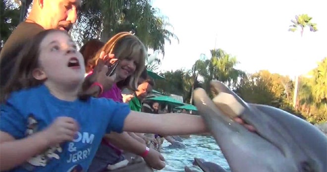 SeaWorld makes a splash on NYSE as stock gains - CBS News