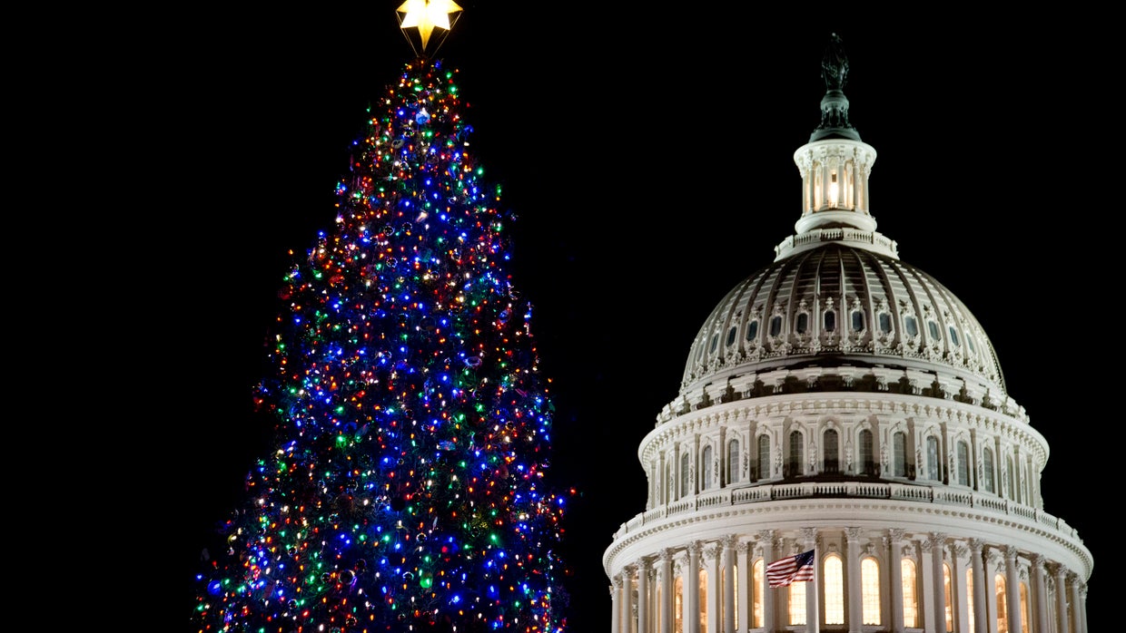 Capitol Christmas tree arrives in Washington - CBS News
