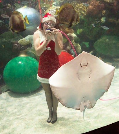 Underwater Santa Claus