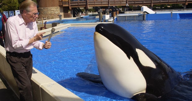 SeaWorld files to go public - CBS News