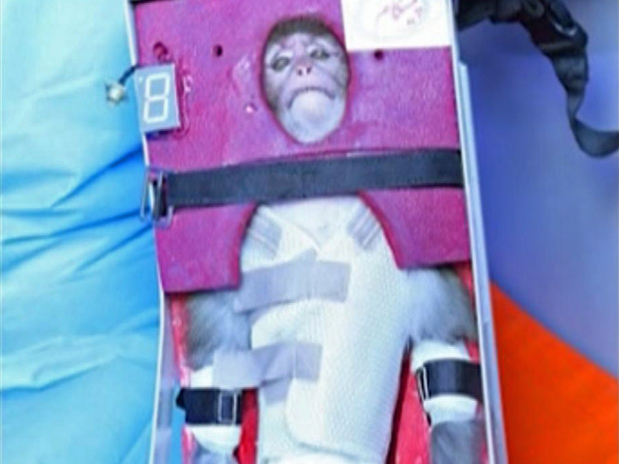 Iran: We've sent a monkey to space - CBS News