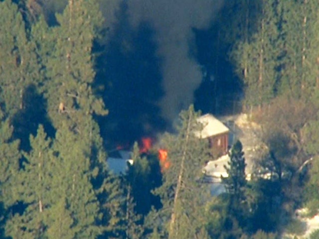 Charred remains found in cabin are likely Christopher Dorner: sources ...