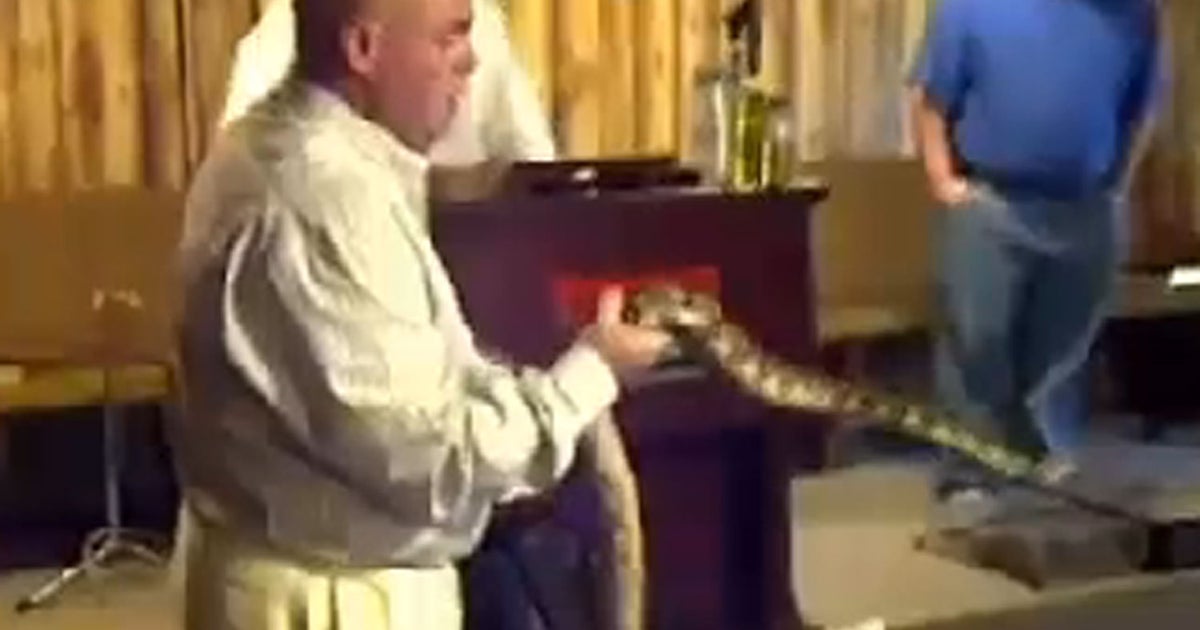 Reptiles and religion: Ky. pastor wants seized snakes returned, says he ...