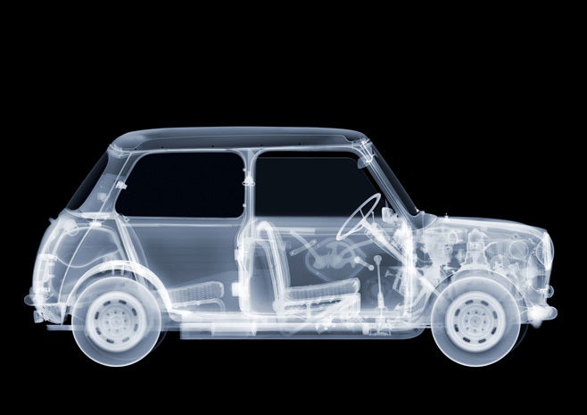 Incredible x-ray art