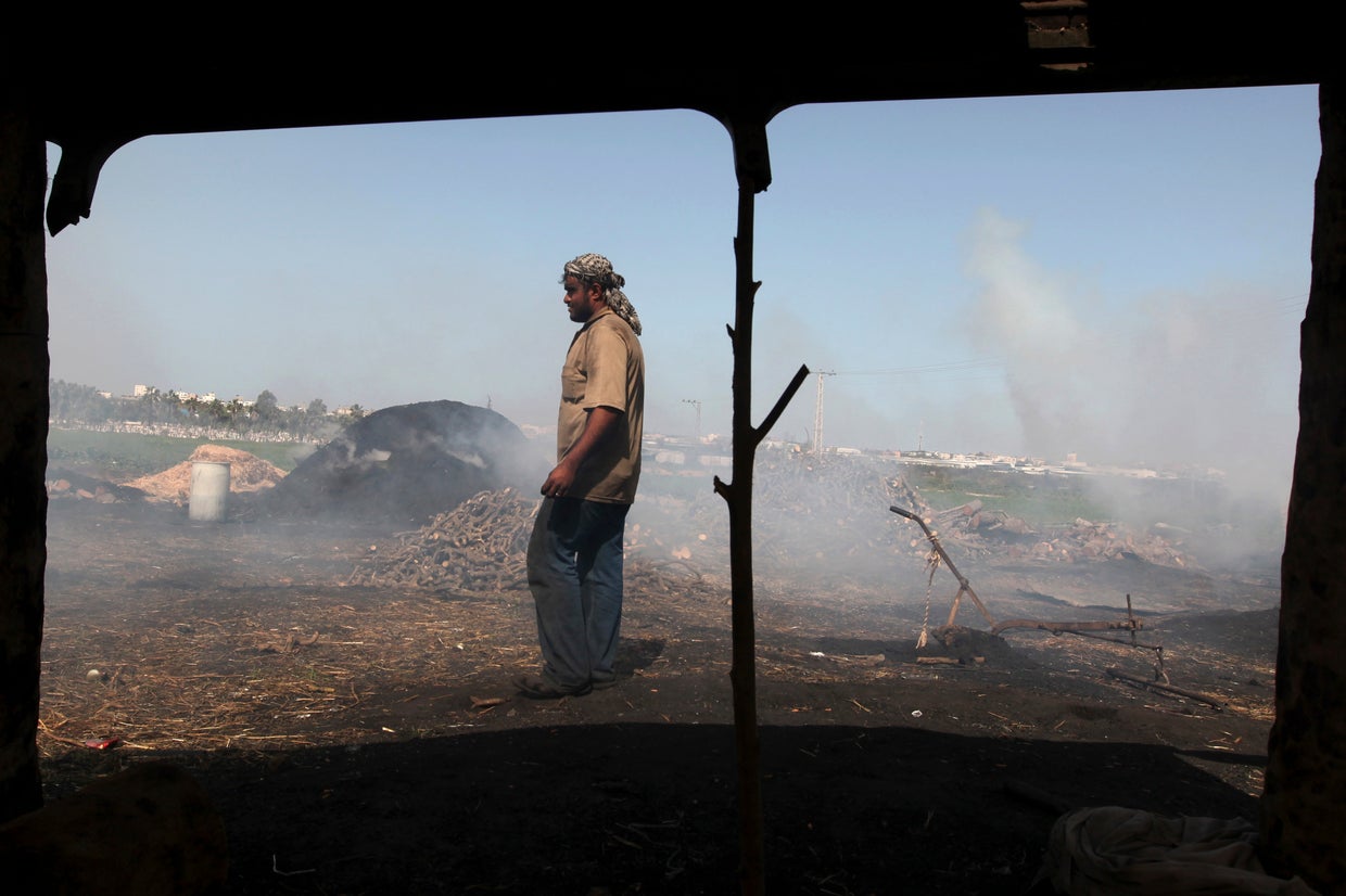 In Gaza, wood is turned to charcoal