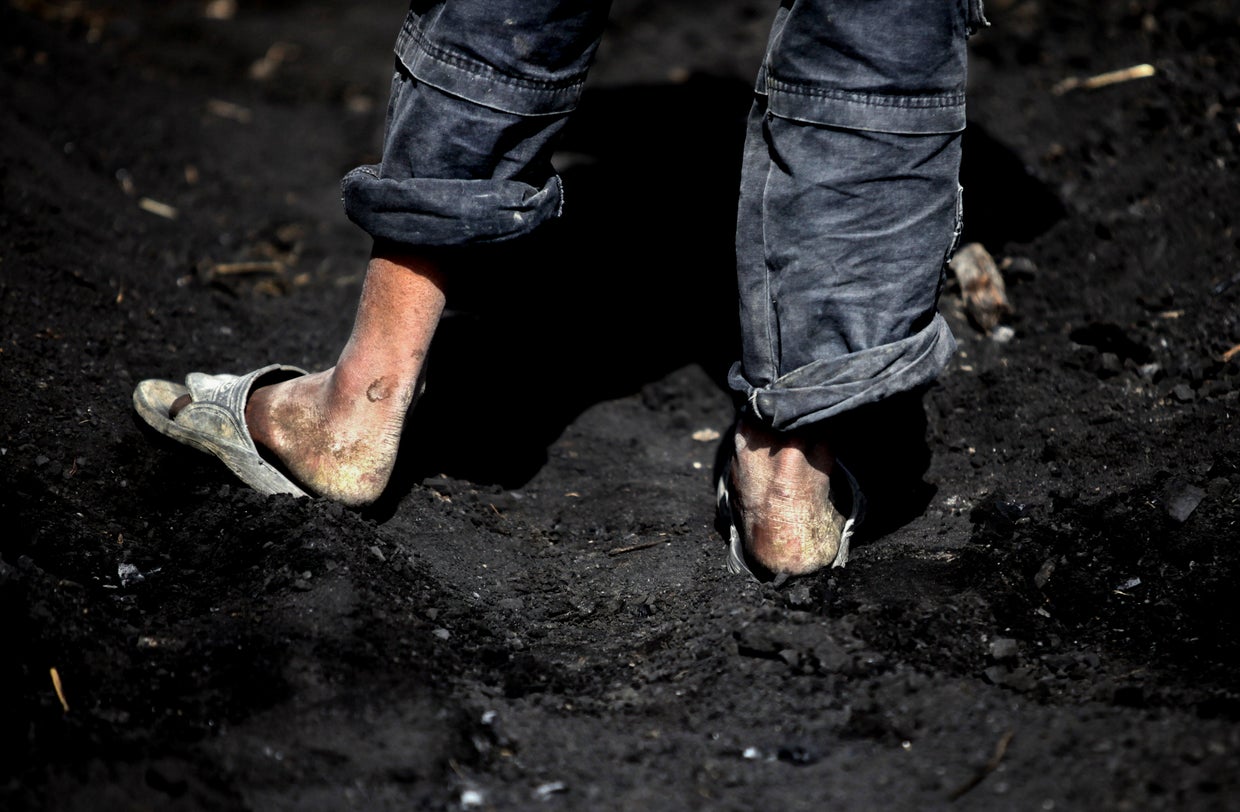 In Gaza, wood is turned to charcoal