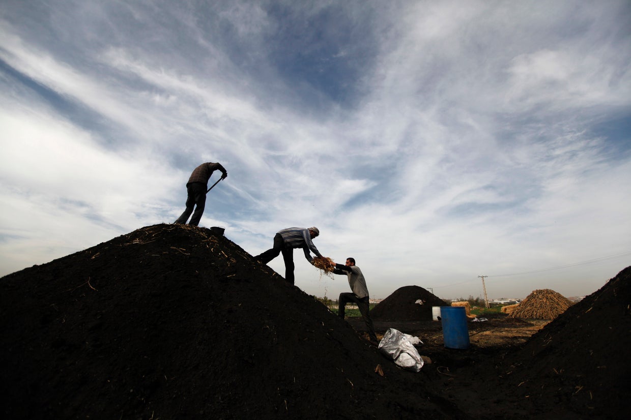 In Gaza, wood is turned to charcoal