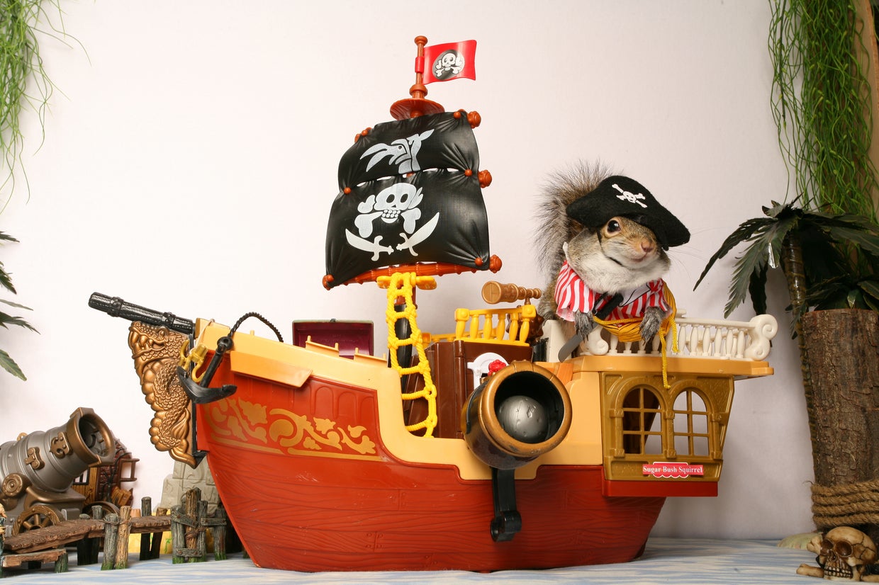 The most photographed squirrel in the world