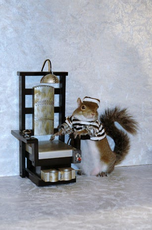 The most photographed squirrel in the world