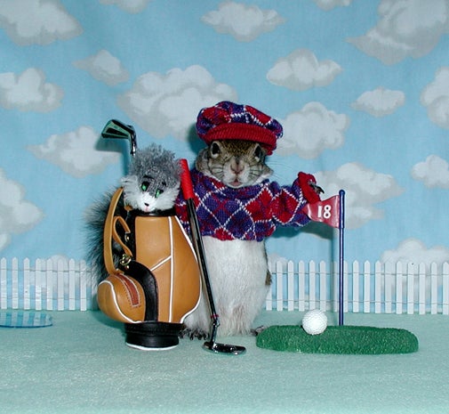 The most photographed squirrel in the world