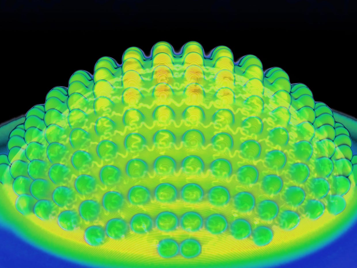 Bug's view inspires new camera lens